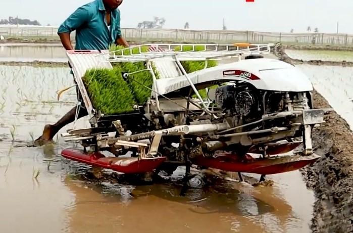 Automatic Rice Transplanter Price in Bangladesh